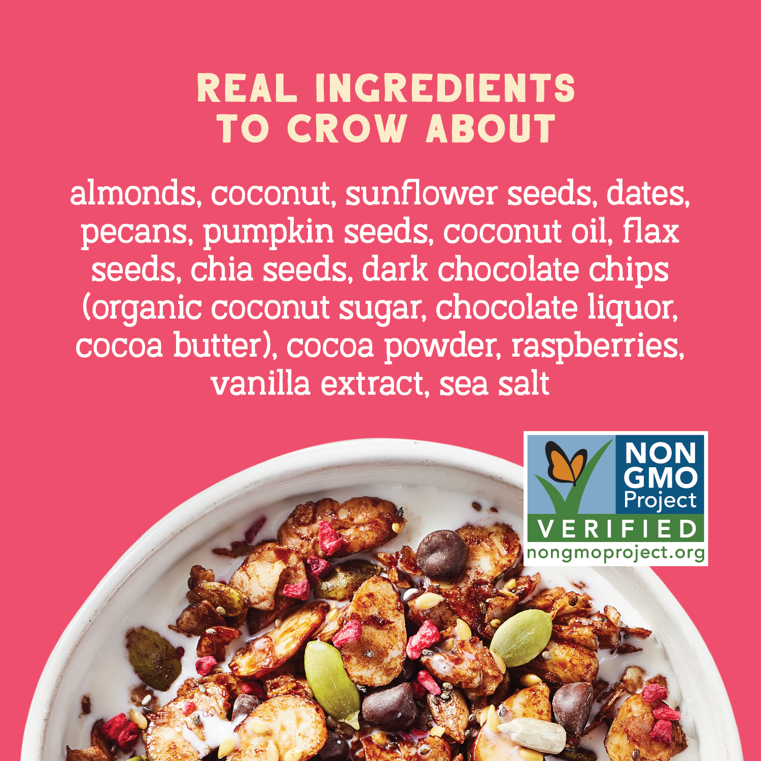 Day Dream Dark Chocolate Raspberry Nut Granola, 20oz – Seven Sundays