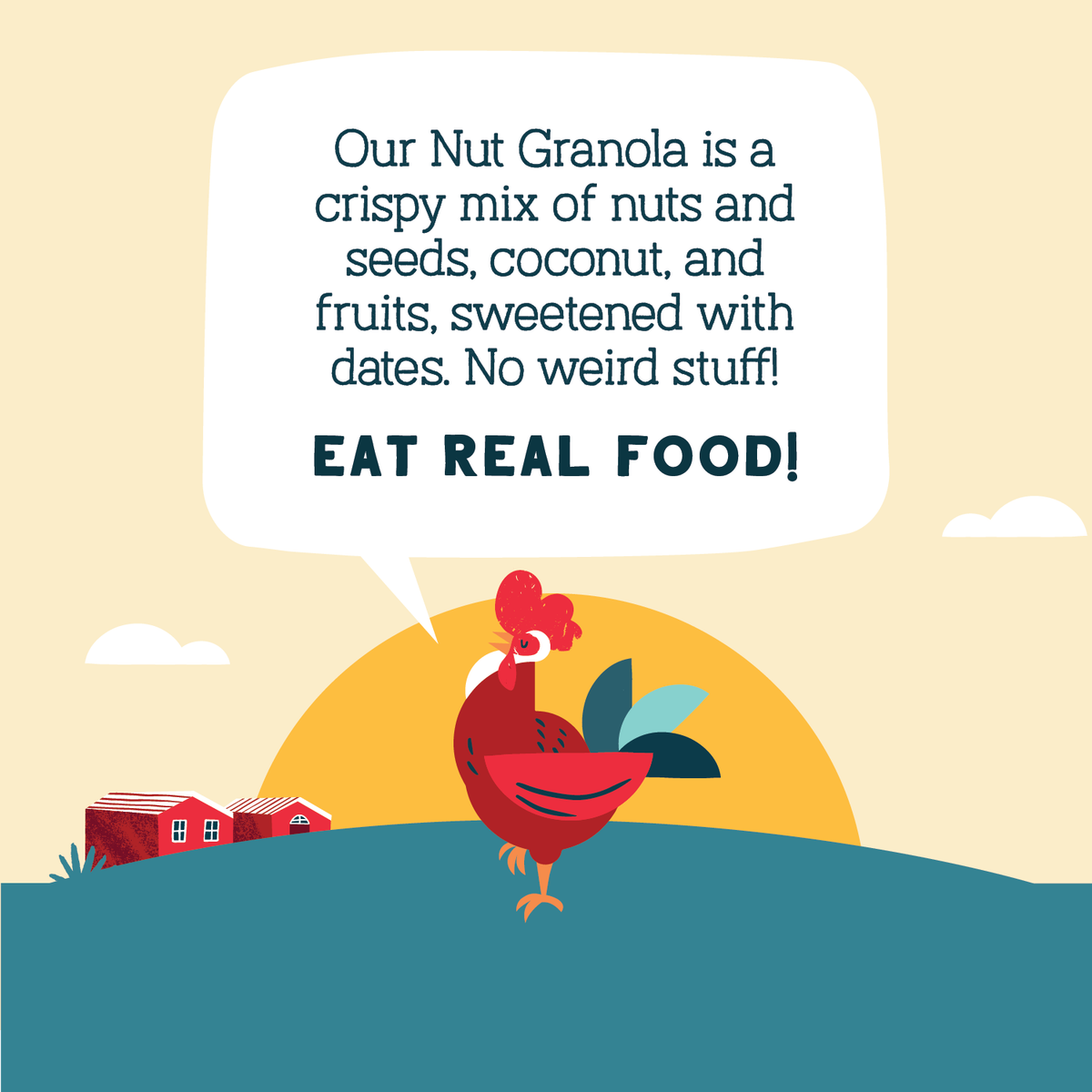 Day Dream Dark Chocolate Raspberry Nut Granola, 20oz – Seven Sundays